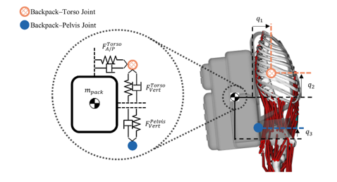 Home - Functional Biomechanics Laboratory
